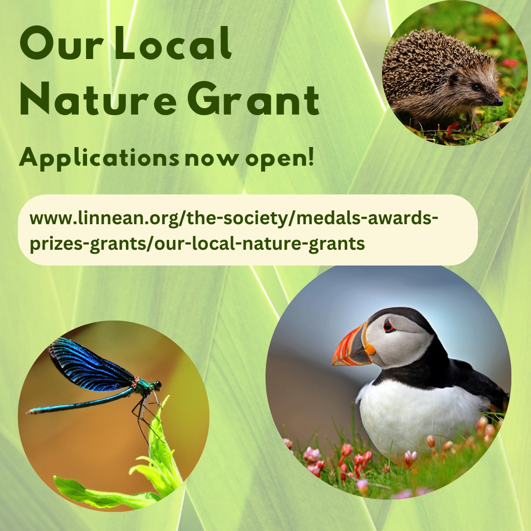Grants to Help Young People Take the Lead in Improving Local Nature and ...